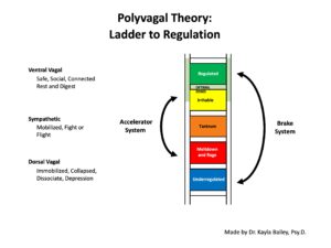 3pv.ladder | Children's Program LEARN