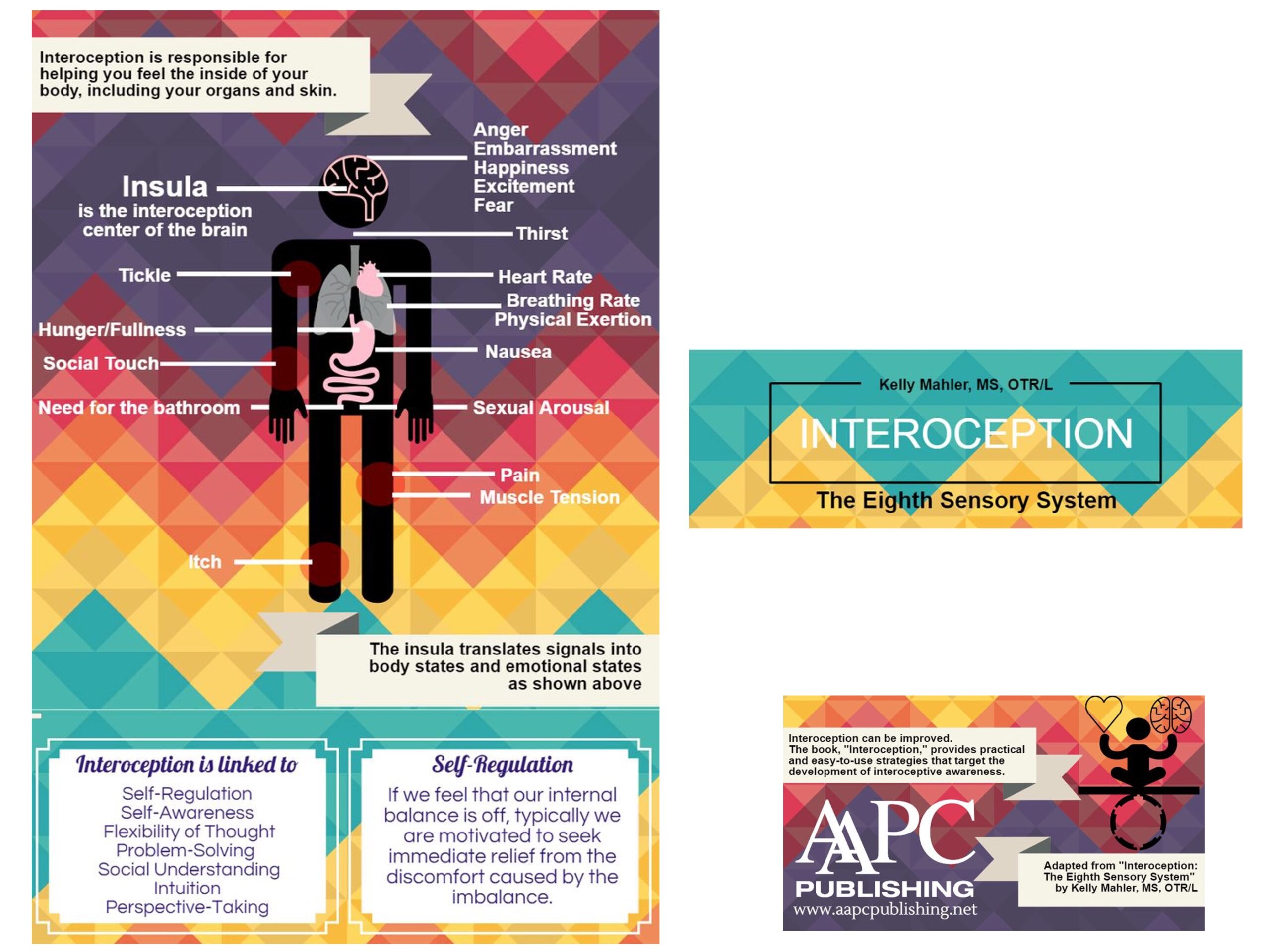 Lesson-3-Interoception-slide | Children's Program LEARN